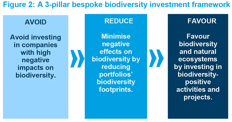 Integrating biodiversity into portfolios: a bespoke framework | Amundi ...