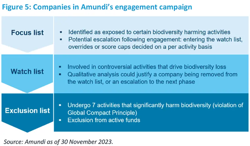 Integrating biodiversity into portfolios: a bespoke framework | Amundi ...
